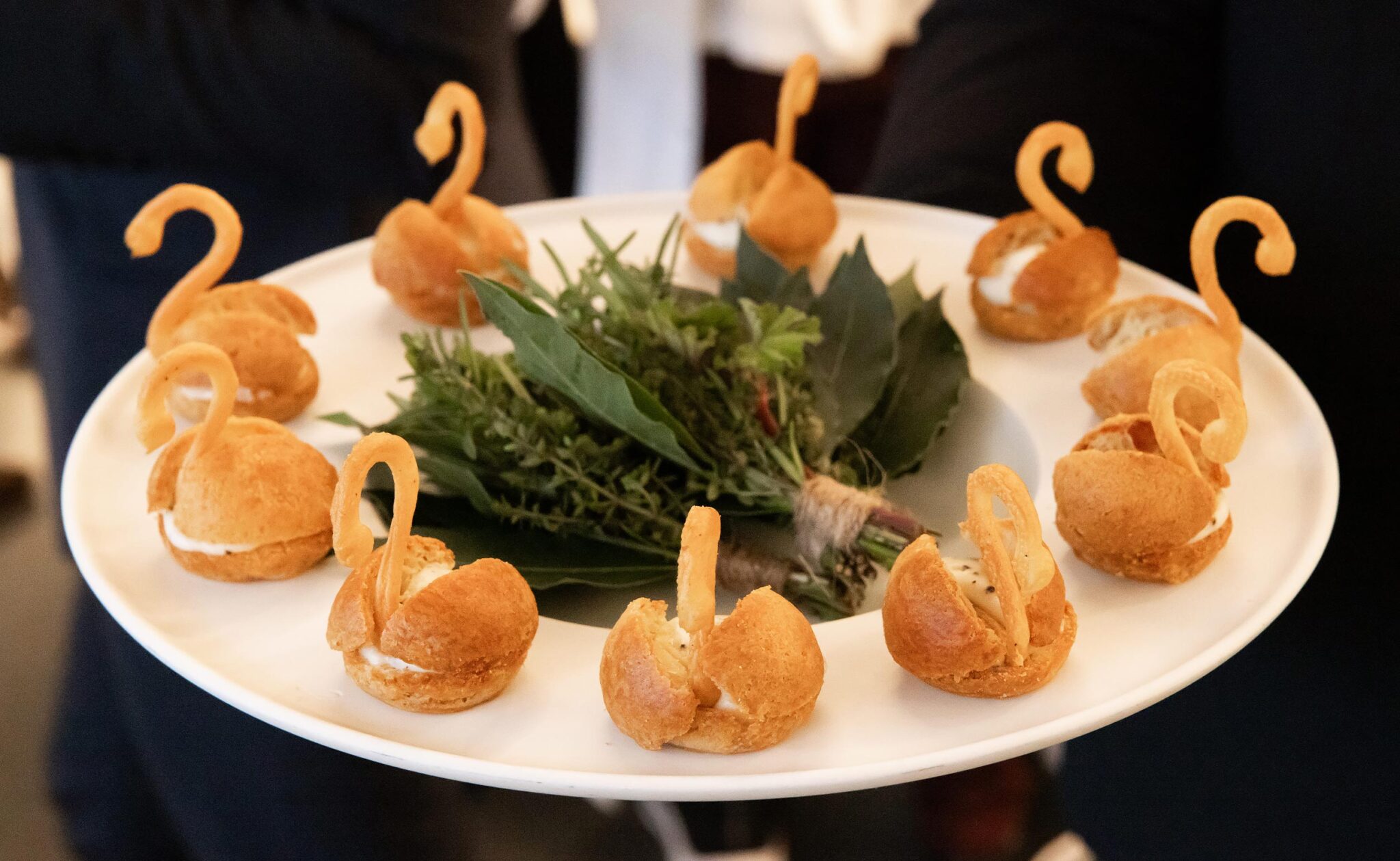 November Celebrations Spread Across the Nation · Celebrate Jacques